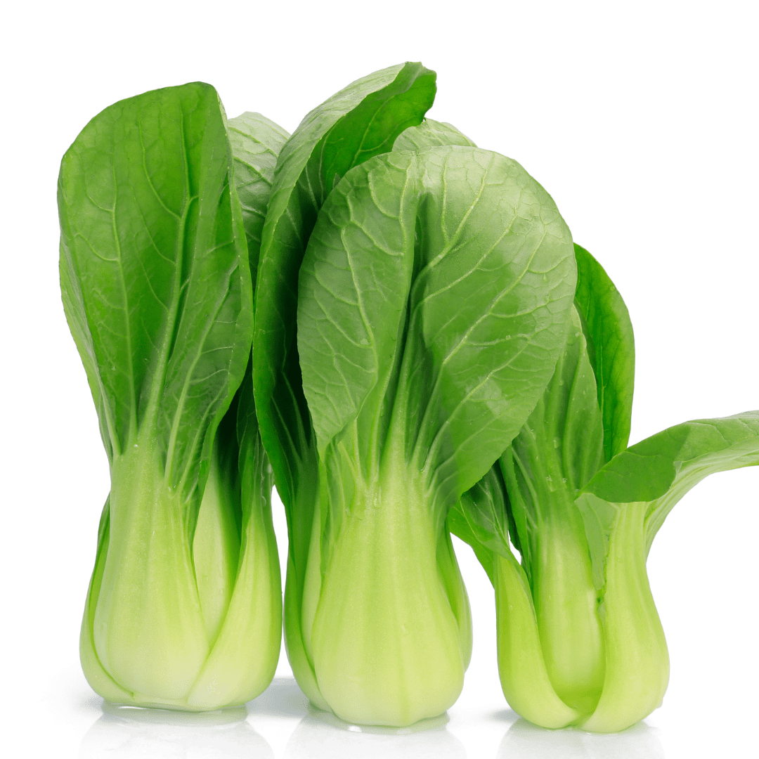 Pak Choi – McCormack Family Farms